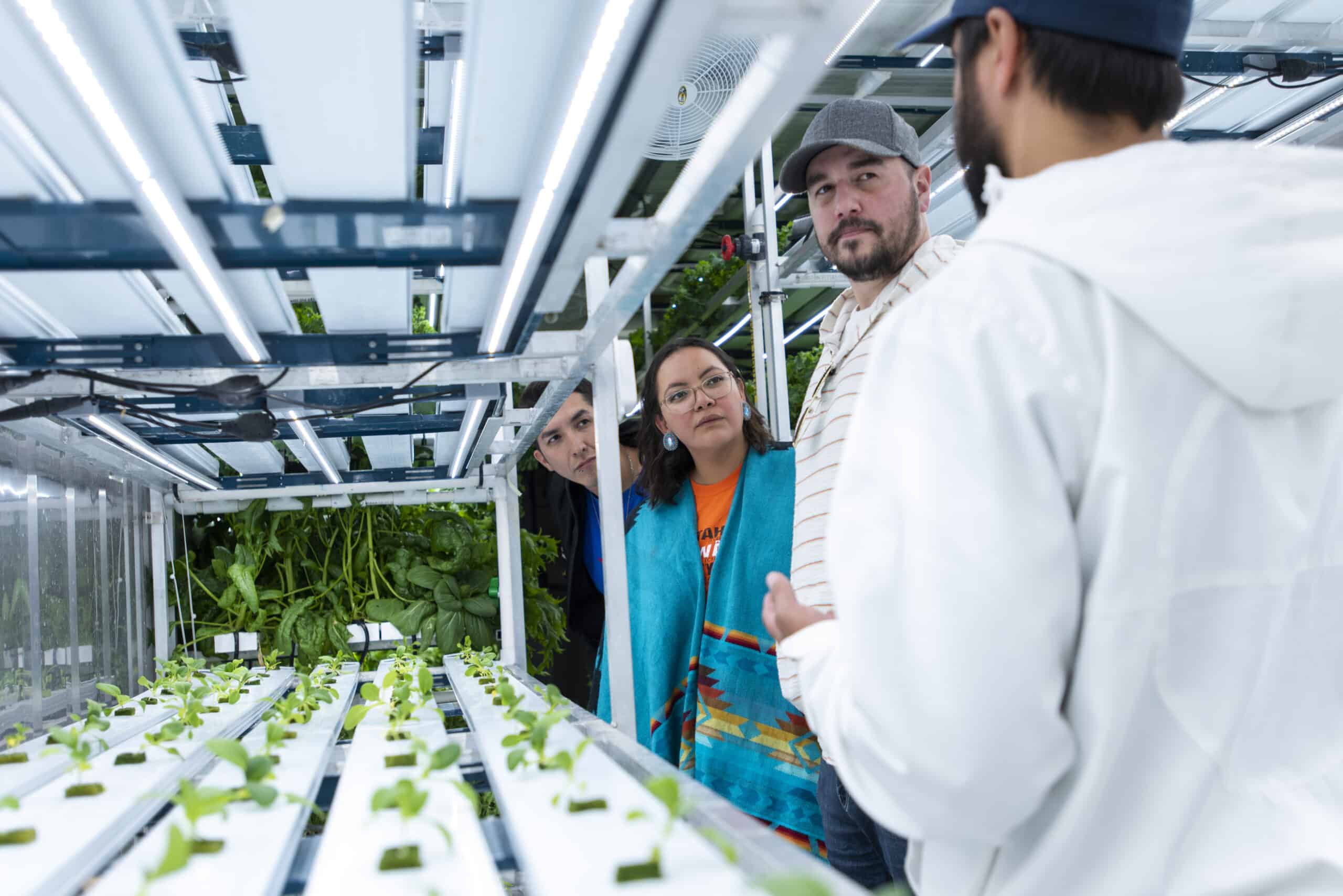 Energy and Climate Resource Coordinator - Job Opportunity - Indigenous Clean Energy